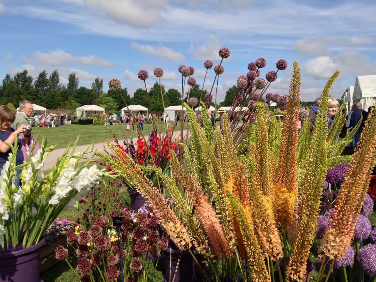 Hyde Hall – Jacques Amand Intl