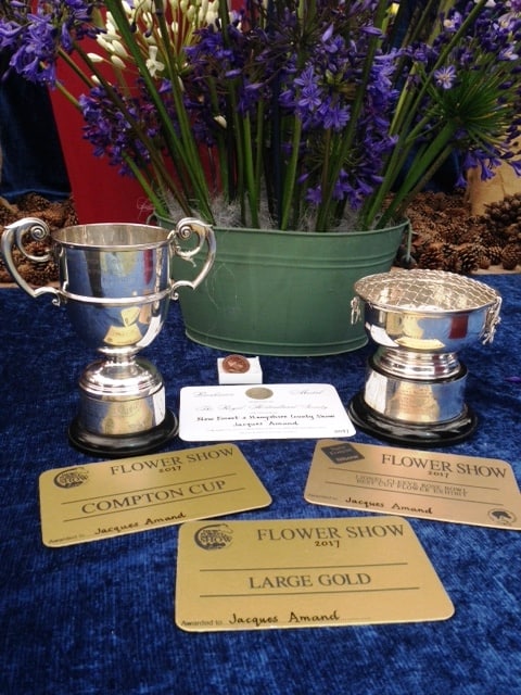 New Forest 2017 – Jacques Amand Intl