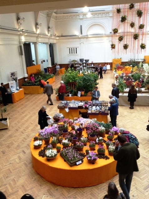 RHS London Shades of Autumn Show – Jacques Amand Intl